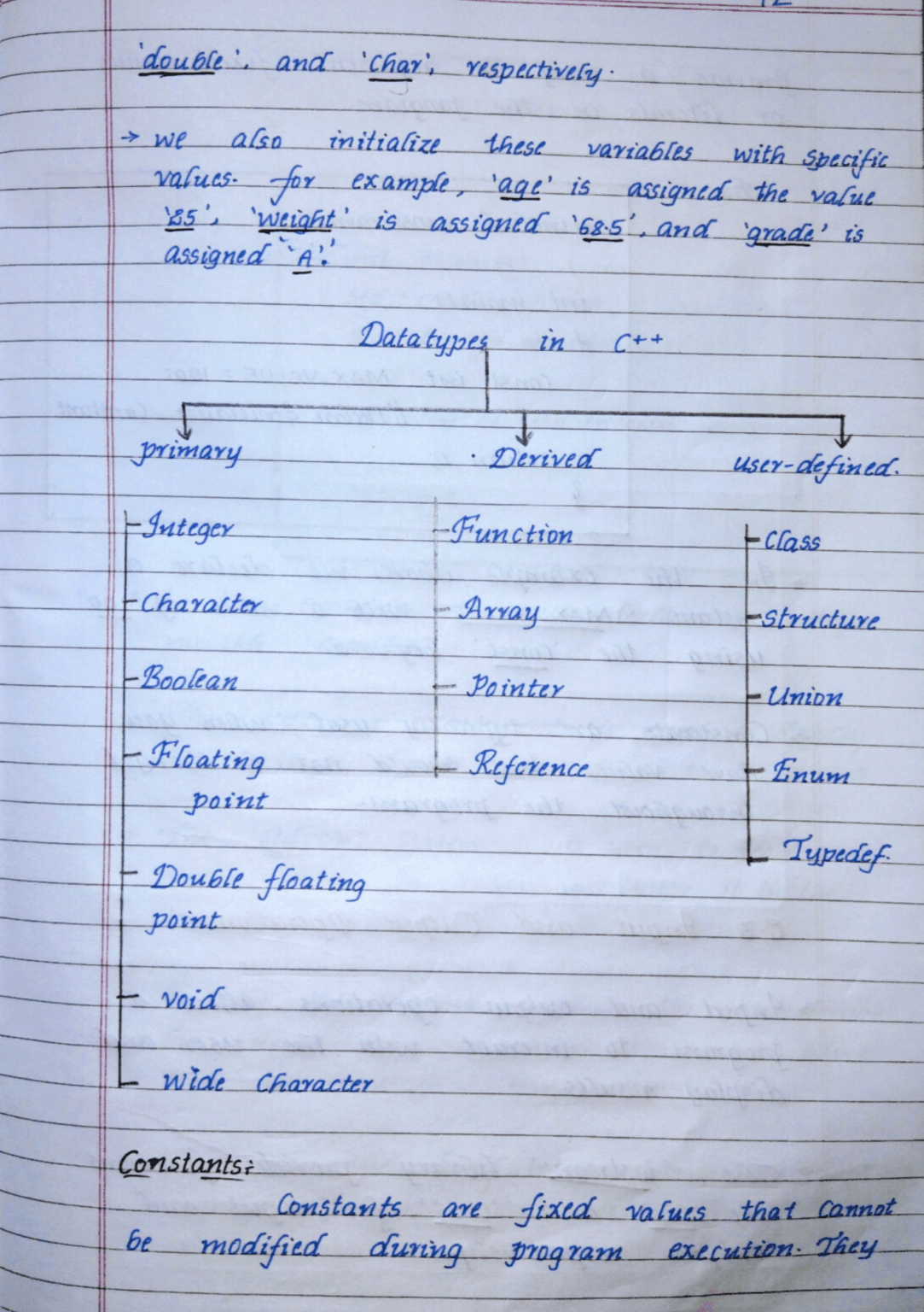 C Handwritten Notes Codewithcurious